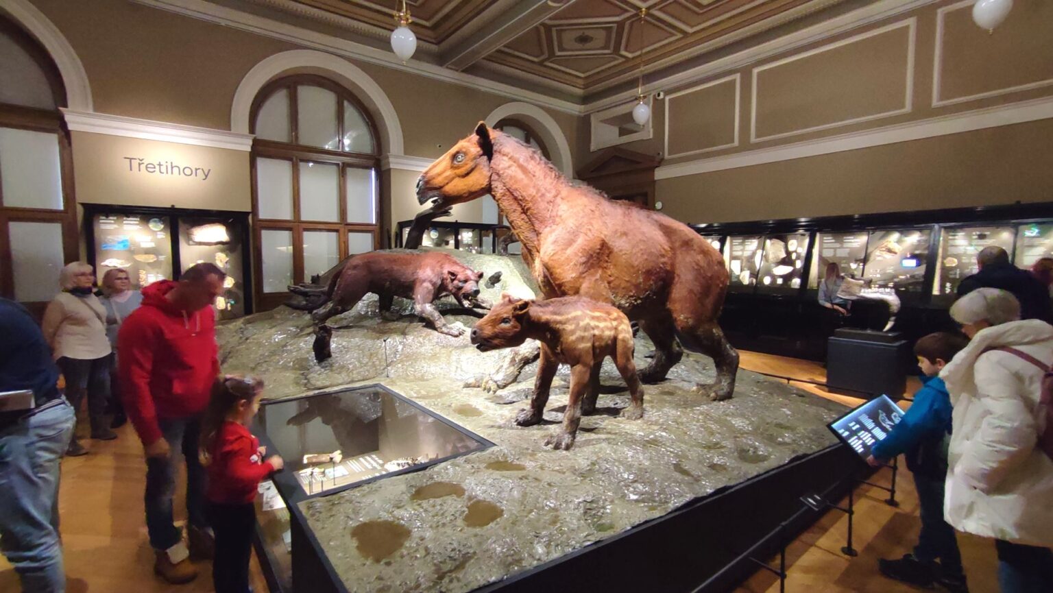 Národní muzeum Praha 2025: Vstupné & Ceny vstupenek