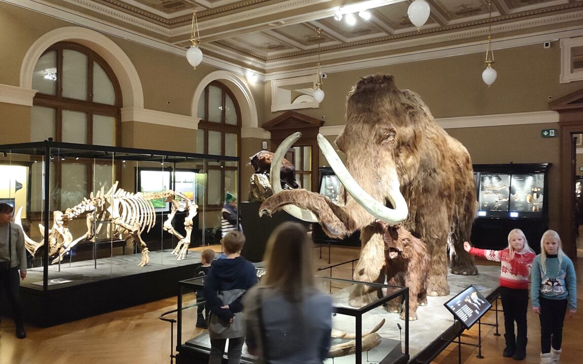 Národní muzeum Praha 2025: Vstupné & Ceny vstupenek
